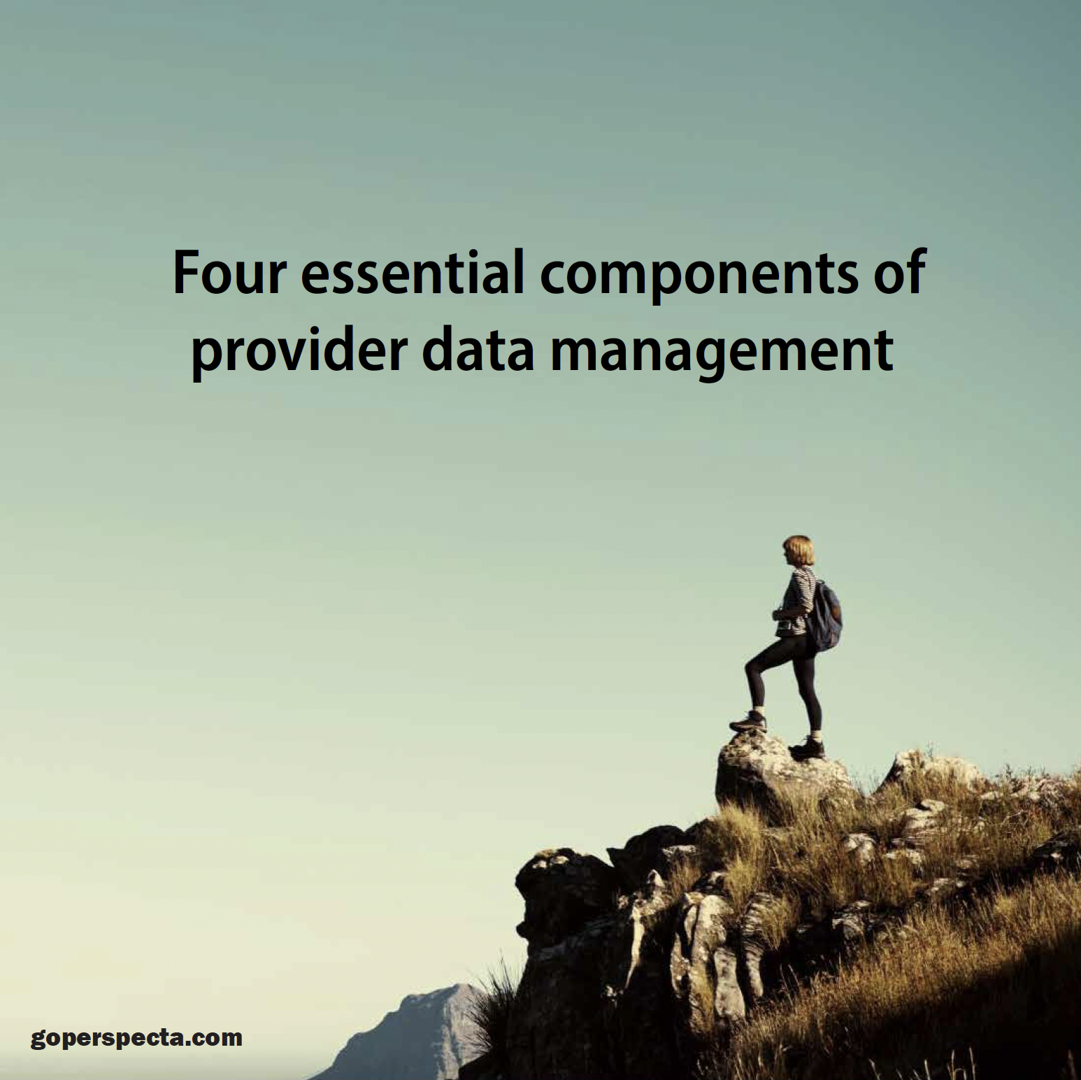 4 Essential Components of Provider Data Management | eBook | Perspecta